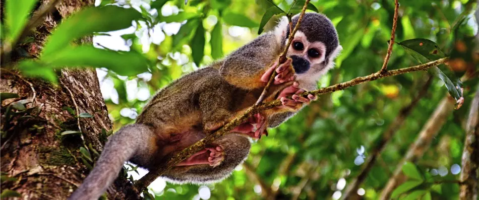 Descubrir el Parque Nacional Sangay